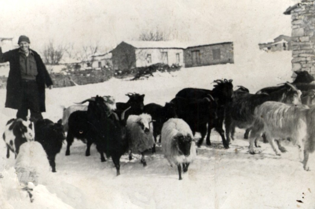 ΟΔΟΙΠΟΡΙΚΟ ΣΤΗΝ ΠΟΛΙΤΙΣΤΙΚΗ ΠΑΡΑΔΟΣΗ ΤΗΣ ΚΑΙΣΑΡΕΙΑΣ: Η κτηνοτροφια στον ...