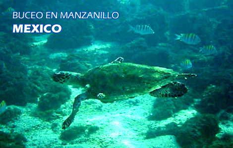 julieta jaramillo: geografia