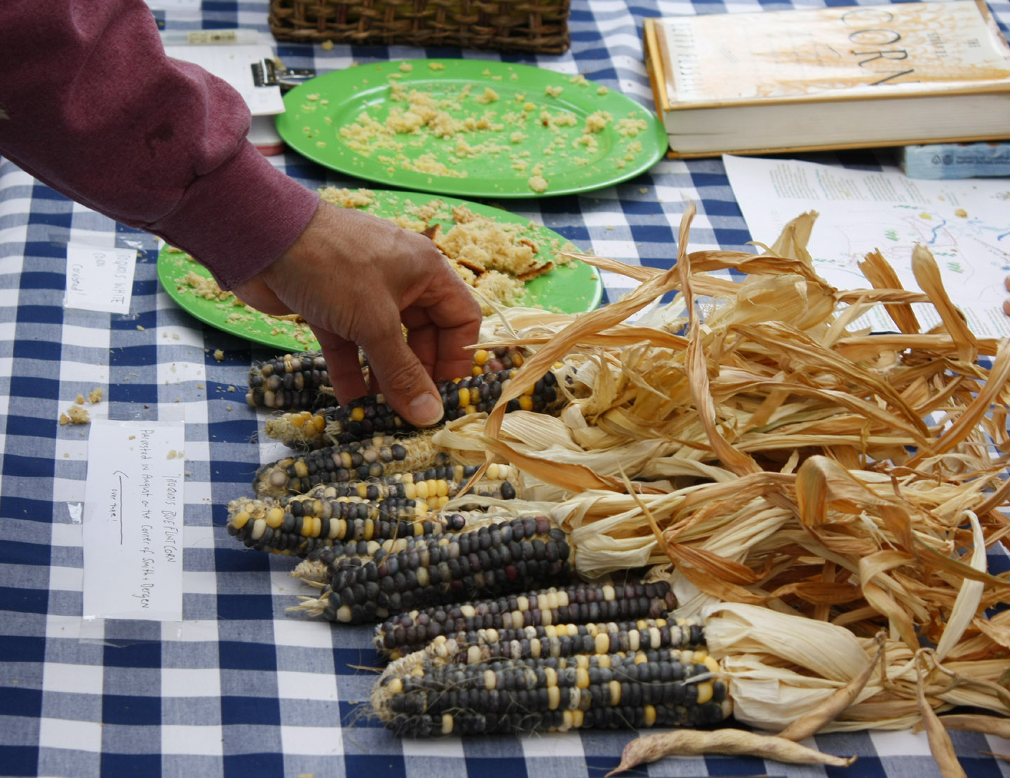 66 Square Feet (Plus): Farm City Fair