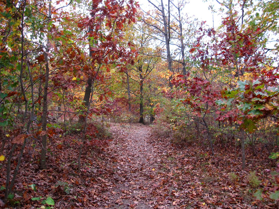 66 Square Feet (Plus): Fall in the Bronx