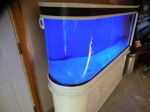 Giant Aquariums: 67"X19"X30"- 160 Gal Bullnose!