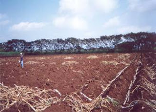 TIPOS DE SUBSUELOS: La topografìay el subsuelo