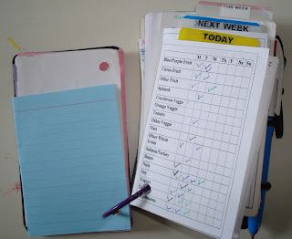 Queen Sarah's Gentle Tirades: How I'm Using PocketMod with my Amish PDA