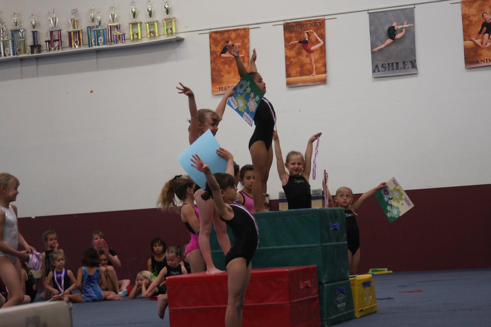The Anderson Family: Diamondback Gymnastics Spring Meet