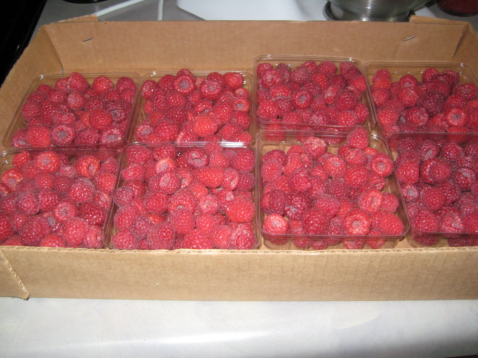Chronicles of a Woman in Training: Raspberry Adventures!