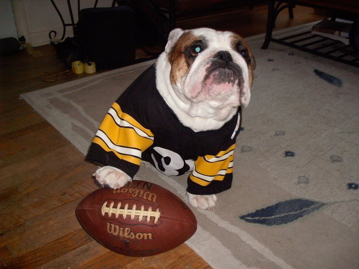 Newman's Notes: Bark and Bowl