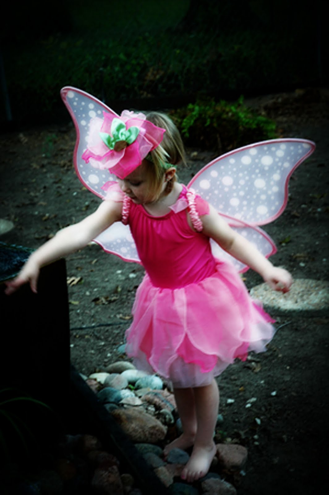 The Bigham Bunch: My Sweet Fluttering Fairy