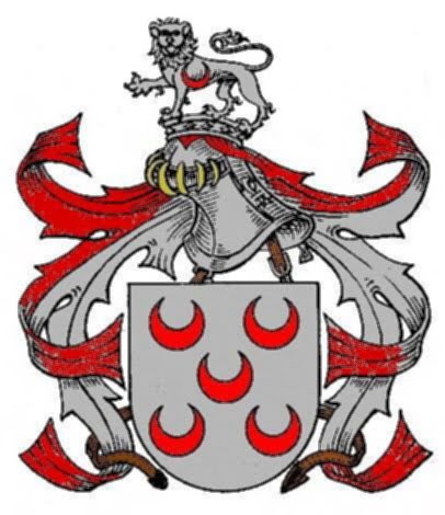 A queda da TORRE DE CHÃ - Solar medieval da família PINTO: ORIGEM DO ...