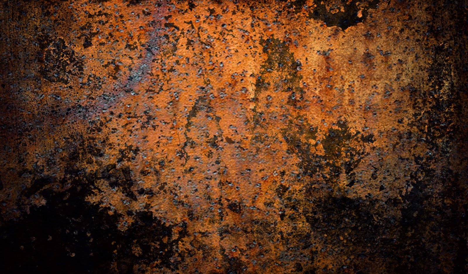 MadMandrill: December 2010