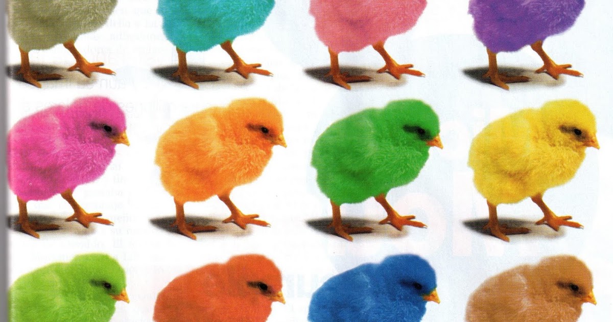 Manualidades y artesanias Salticoz: POLLITOS DE COLORES