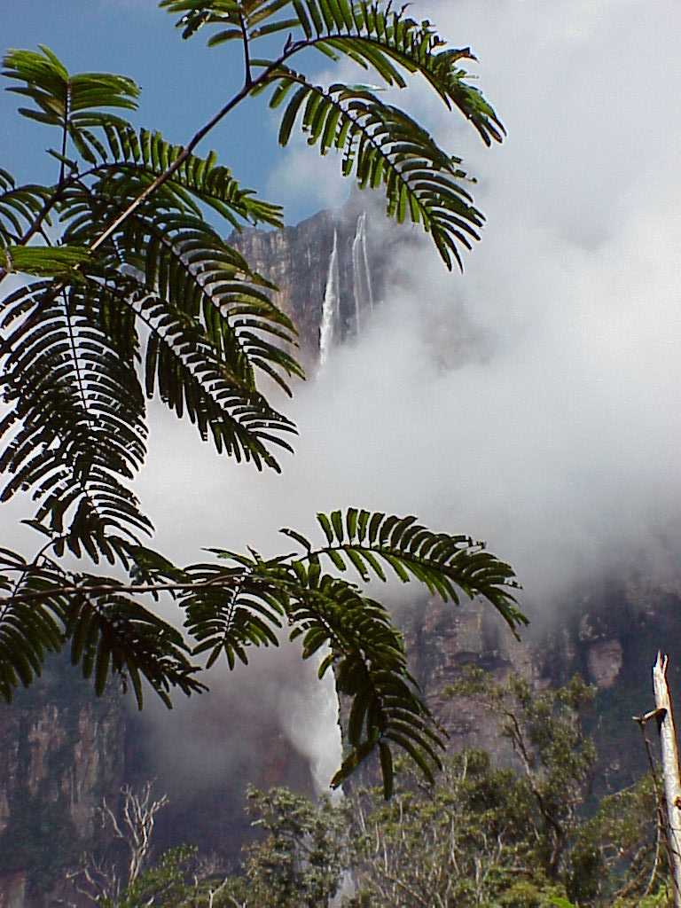 L´Andariega: Kanaimö: Tierra de magia y misterio