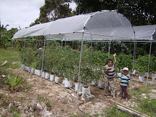 Produk2 Green Legacy Enterprise: Lawatan ke Projek Mini Fertigasi di ...