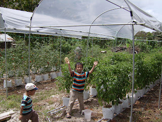 Produk2 Green Legacy Enterprise: Lawatan ke Projek Mini Fertigasi di ...