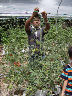 Produk2 Green Legacy Enterprise: Lawatan ke Projek Mini Fertigasi di ...