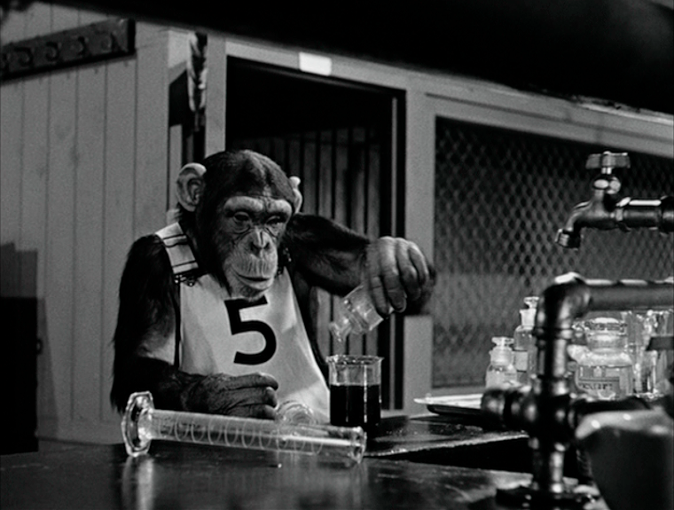Cockeyed Caravan: Underrated Movie #58: Monkey Business