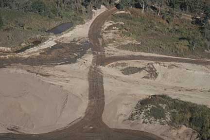 Ella Bay Forever: Rare Golden sleepy cod threatened by TERM sand mining ...