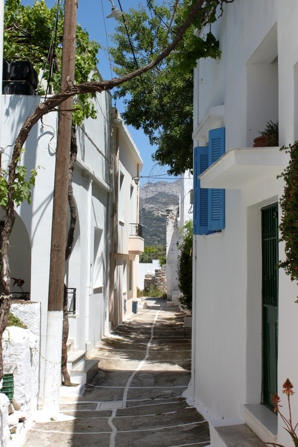ΔΑΜΑΡΙΩΝΑΣ: ΔΑΜΑΡΙΩΝΑΣ ΟΔΟΣ ΠΑΠΑΡΗΓΟΠΟΥΛΟΥ
