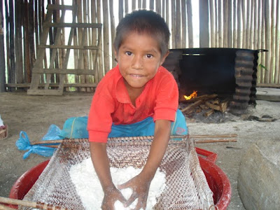 AULA INTERACTIVA: NIÑO PEMON
