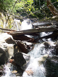 At the Corner of Trail and Trail: The Ira Spring Trail/Bandera Mountain ...