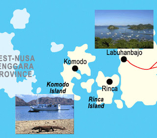 Roundtriptoparadise: On a large Varanus species from the island of Komodo."
