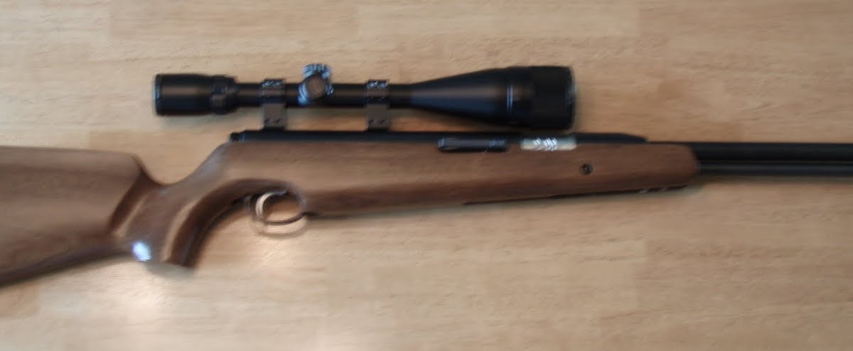 Air gun soup Blog: BAM B40 Air Rifle, surprise! Its very nice.