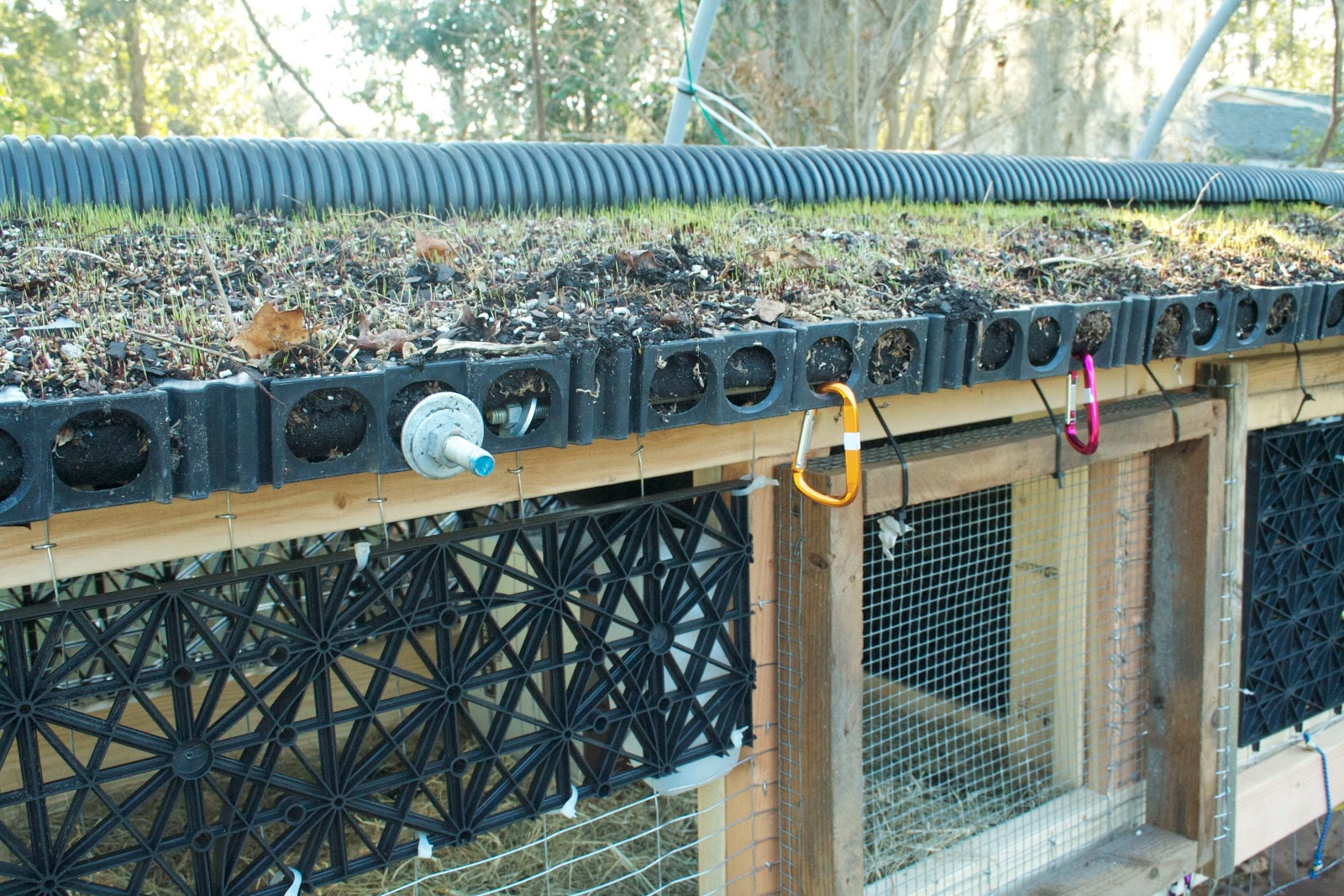 Rabbit Hutch Roof Ideas at Kristian Christenson blog