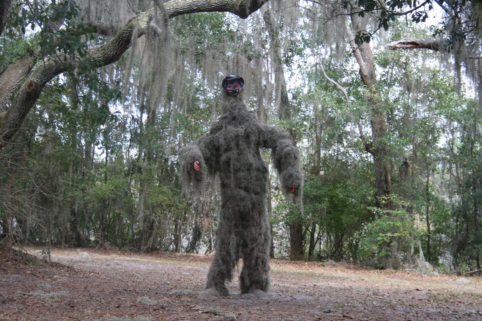 Kevin Songer, Art and Languages of Nature: Moss Man - Grows Well On ...