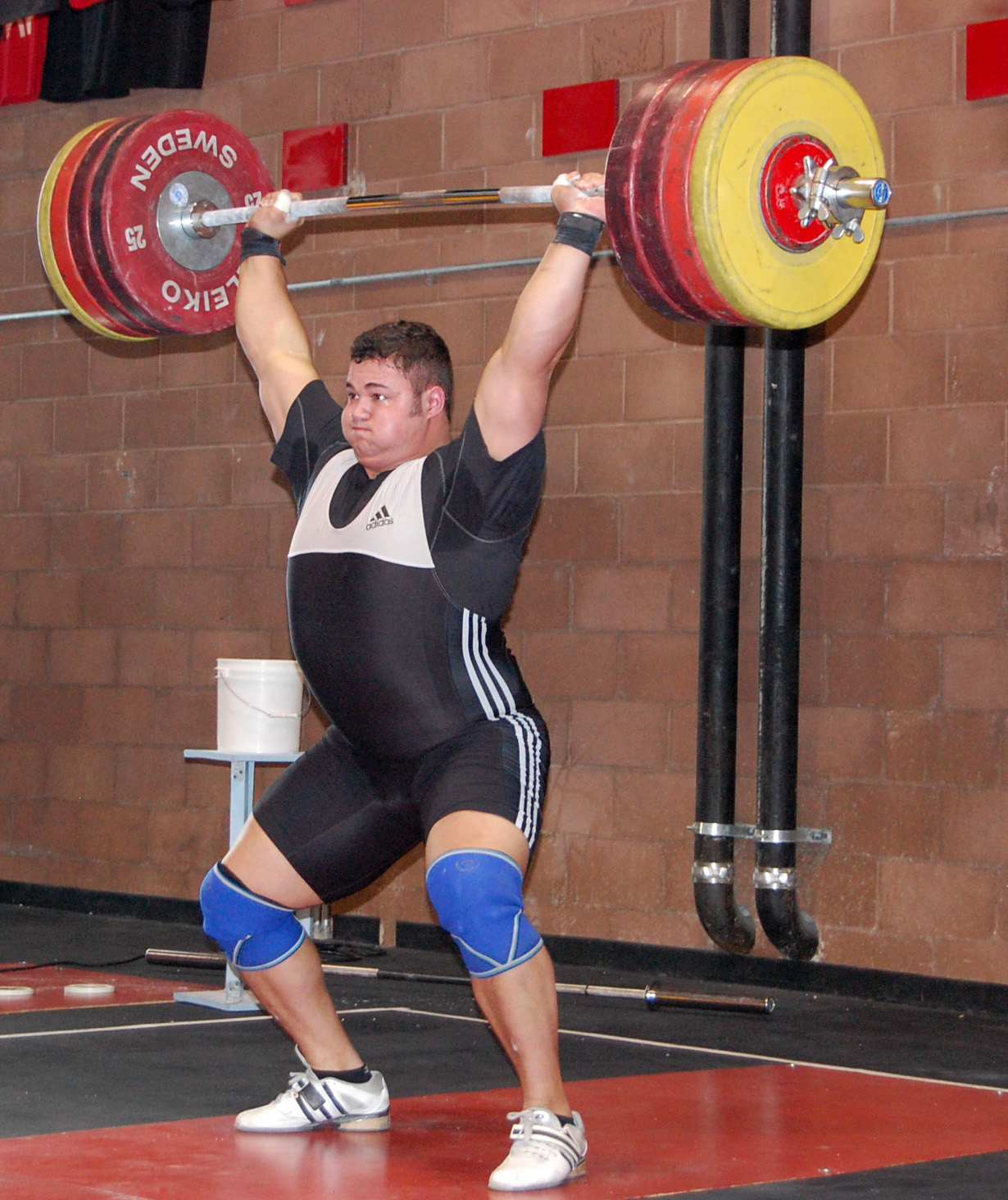 Pat Mendes - Alchetron, The Free Social Encyclopedia