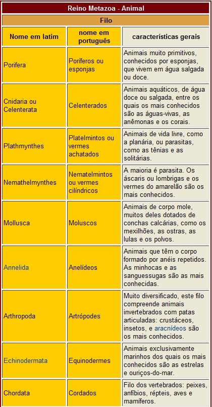 Galera Animal: O quadro abaixo traz os filos e suas principais ...