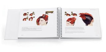 The Hair Stylist Blog: Do You Know Your ABC's: Sassoon Color Class 4 Free