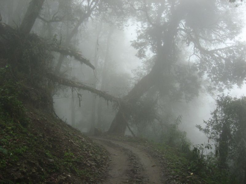 Exploring my country ... exploring myself (Travel India): Lava, Lolay ...