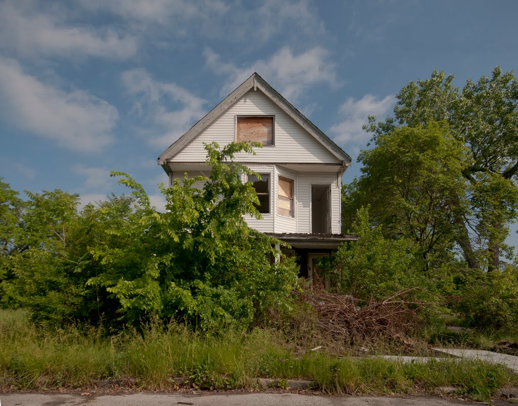 (More) Feral Houses | sweet juniper!