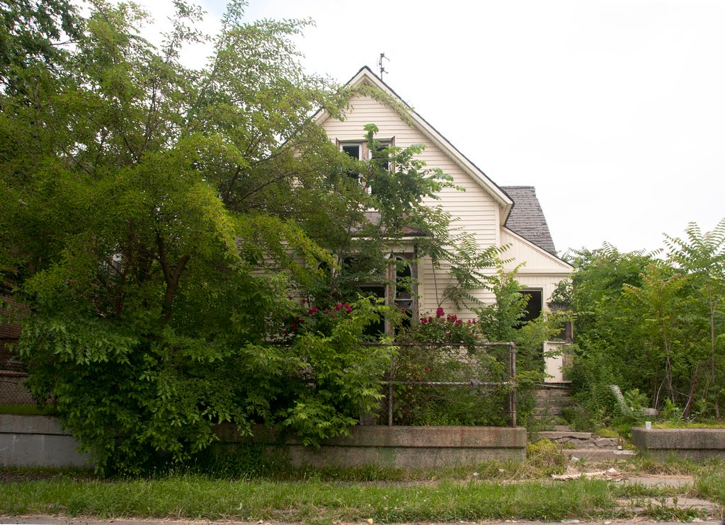 (More) Feral Houses | sweet juniper!