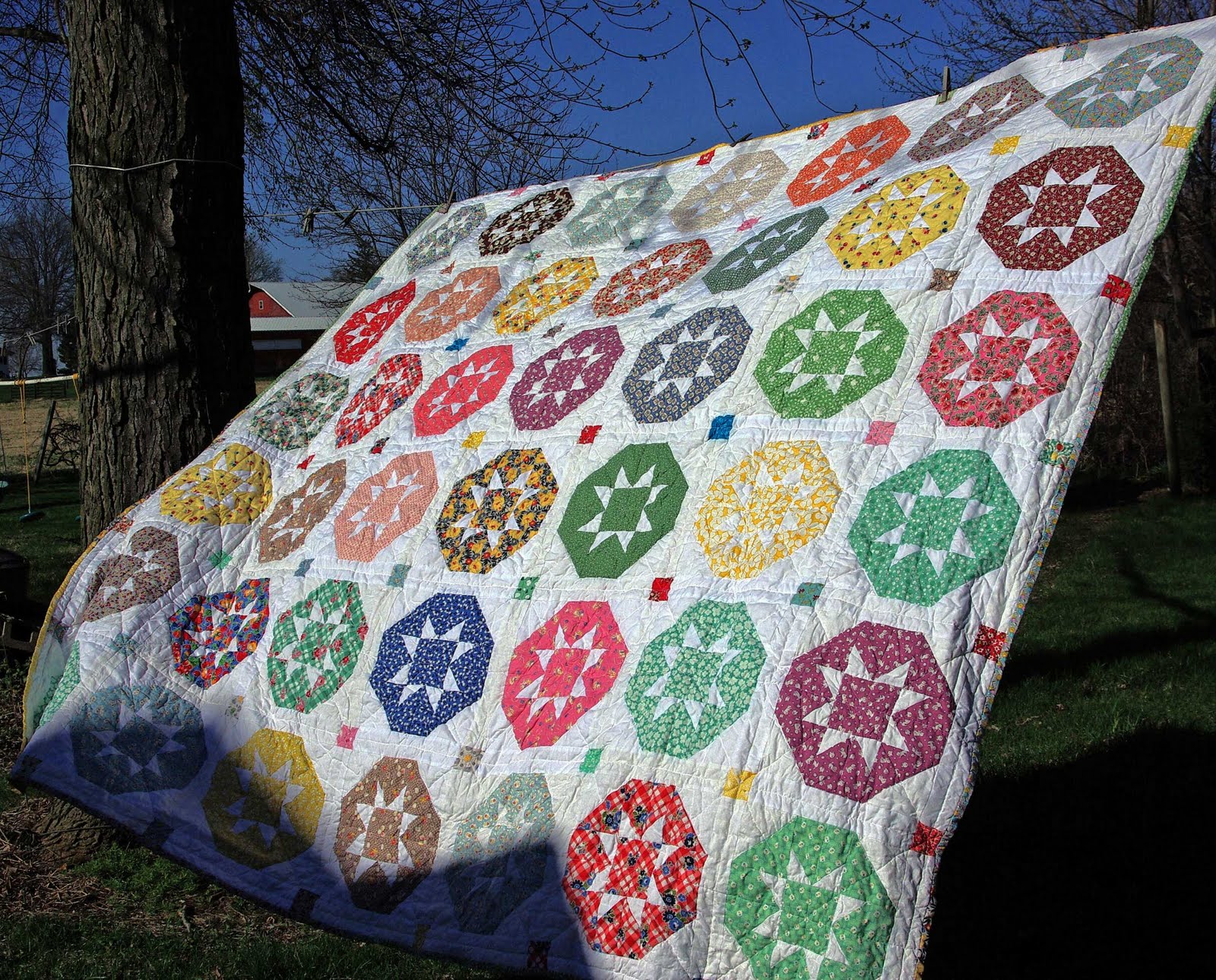 Sane, Crazy, Crumby Quilting: Dandy Quilt