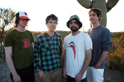 Musicaholics: ANIMAL COLLECTIVE