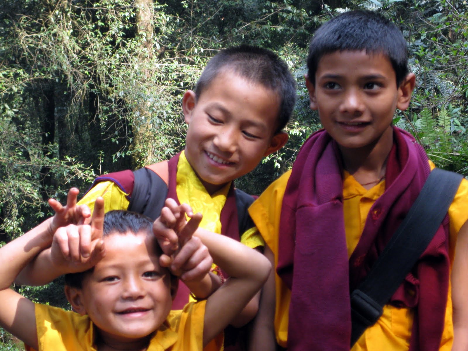 Indien: Auf in den Osten: Darjeeling, Sikkim, Varanasi