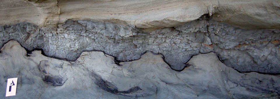 The Great Cretaceous Walk: On Frozen Ground Down Under