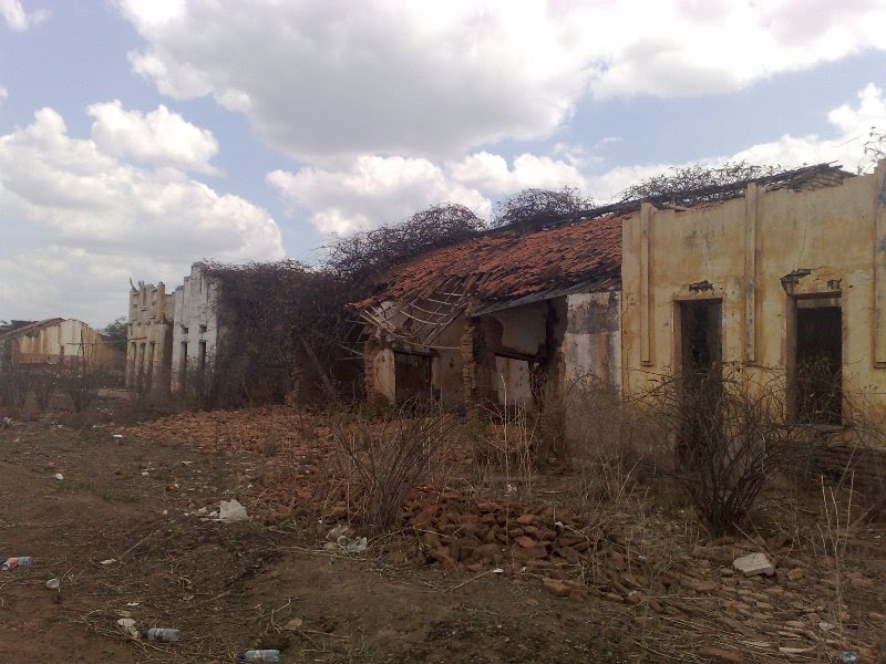 Blog de Altaneira: COCOCI: uma Cidade Fantasma no Interior do Ceará