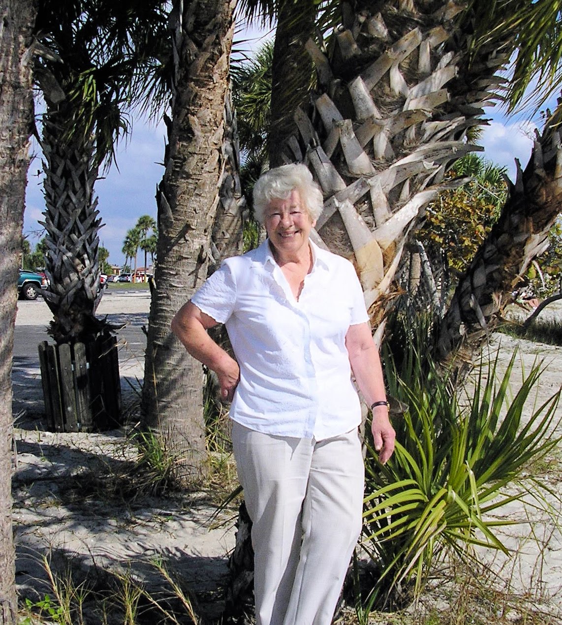 Tunbridge Wells and District Writers Circle: 2011