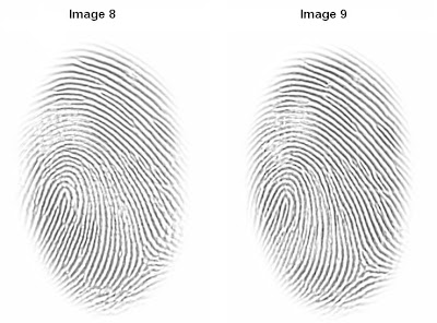 Performance of Fingerprint Recognition System in Maritime Environment ...