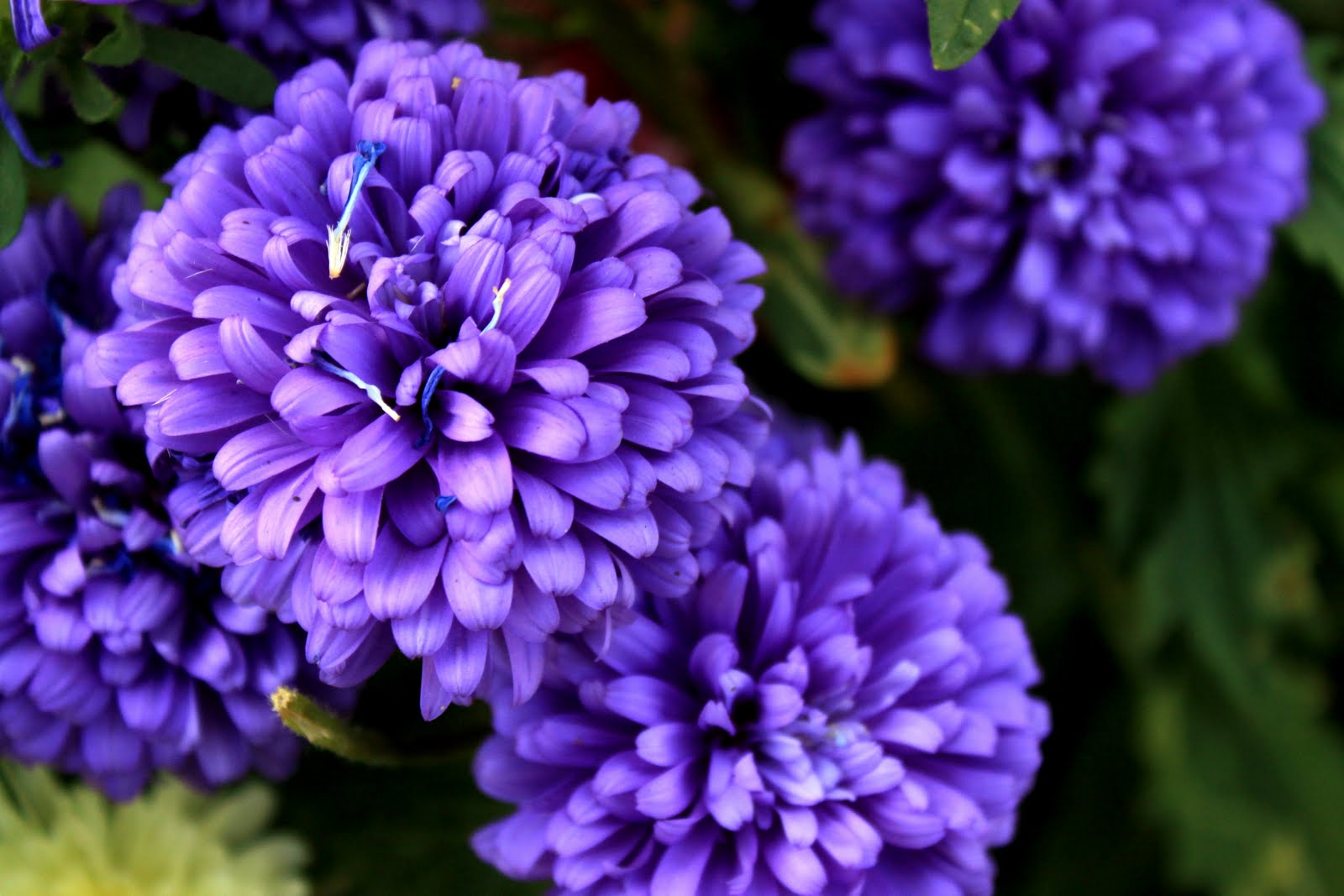 My Third Eye: Pinjore Gardens