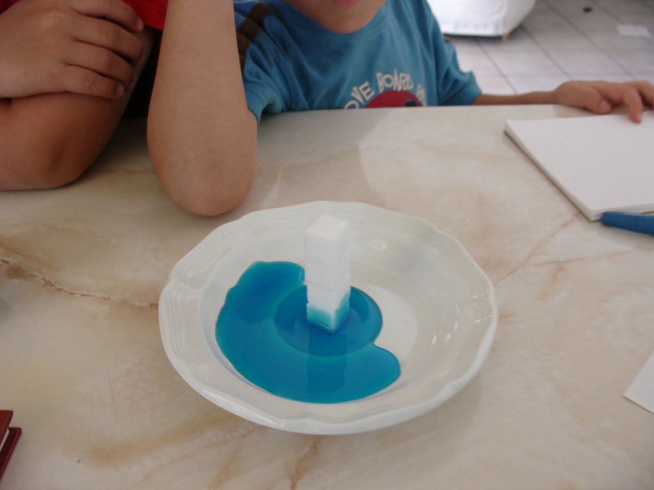 Kaylee & Co.: Science Experiment #7:: Water Absorption