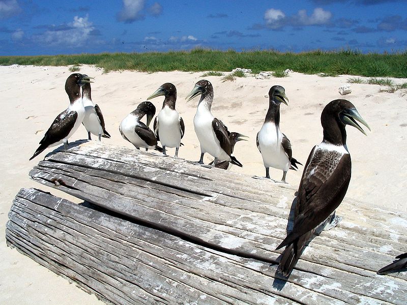 BAJA CALIFORNIA SUR