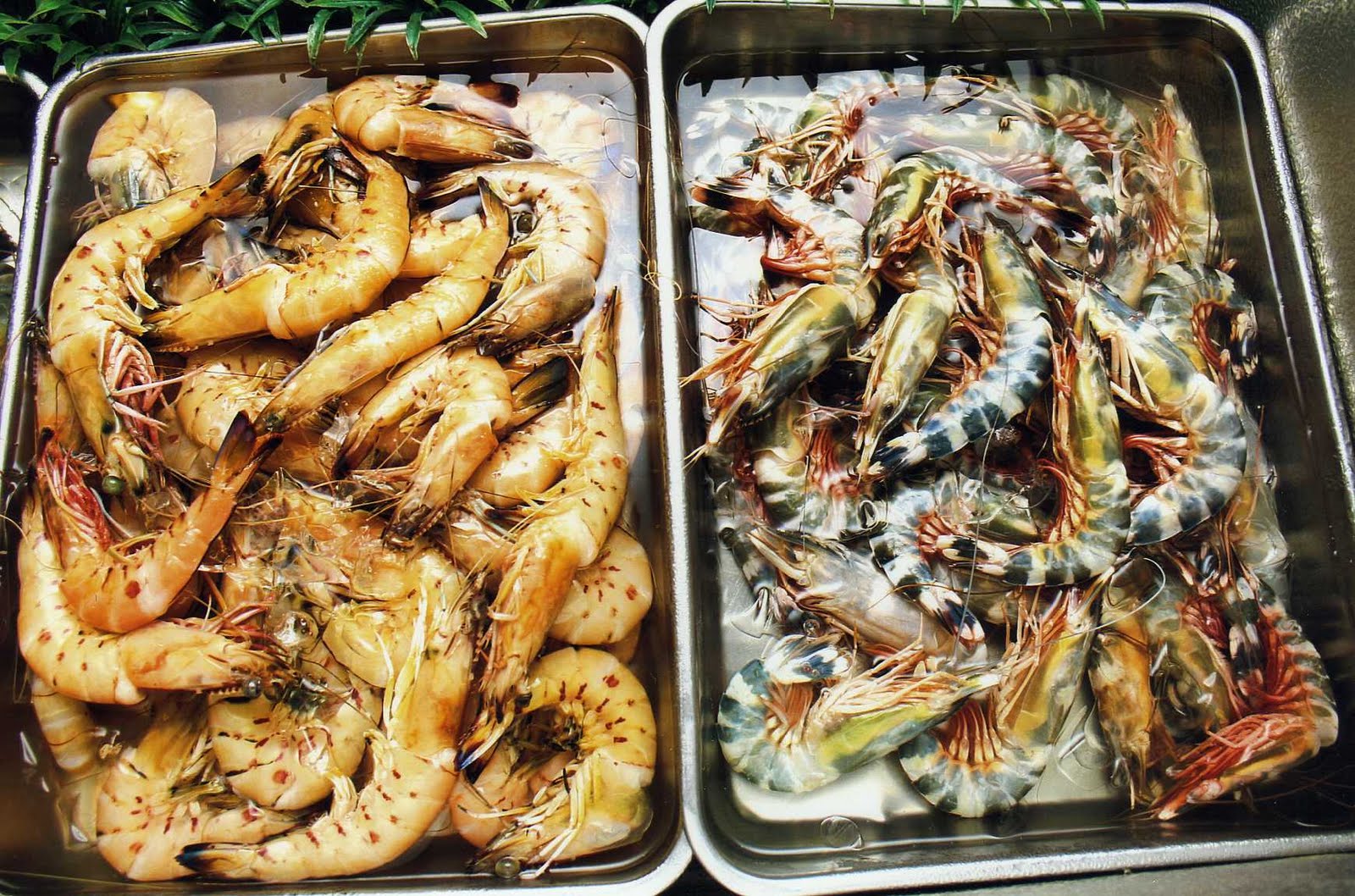 SEAFOOD TERMINAL