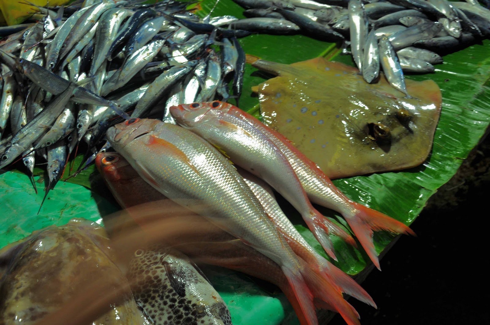 The World According to Melchizedik: The roadside fish stalls of Siquijor