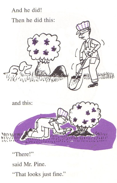 Books For Breakfast: Mr. Pine's Purple House