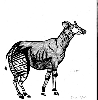 Daily Draw: Okapi