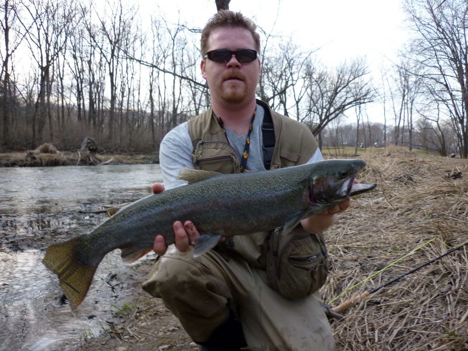 Illinois Wisconsin Fishing: fly fishing steelhead (root river, wi)