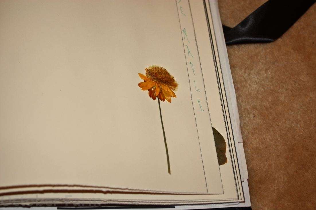 The Original Practical Magic Spellbook