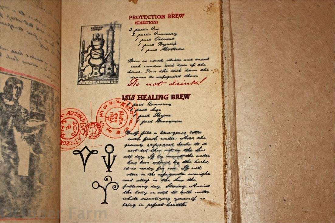 The Original Practical Magic Spellbook